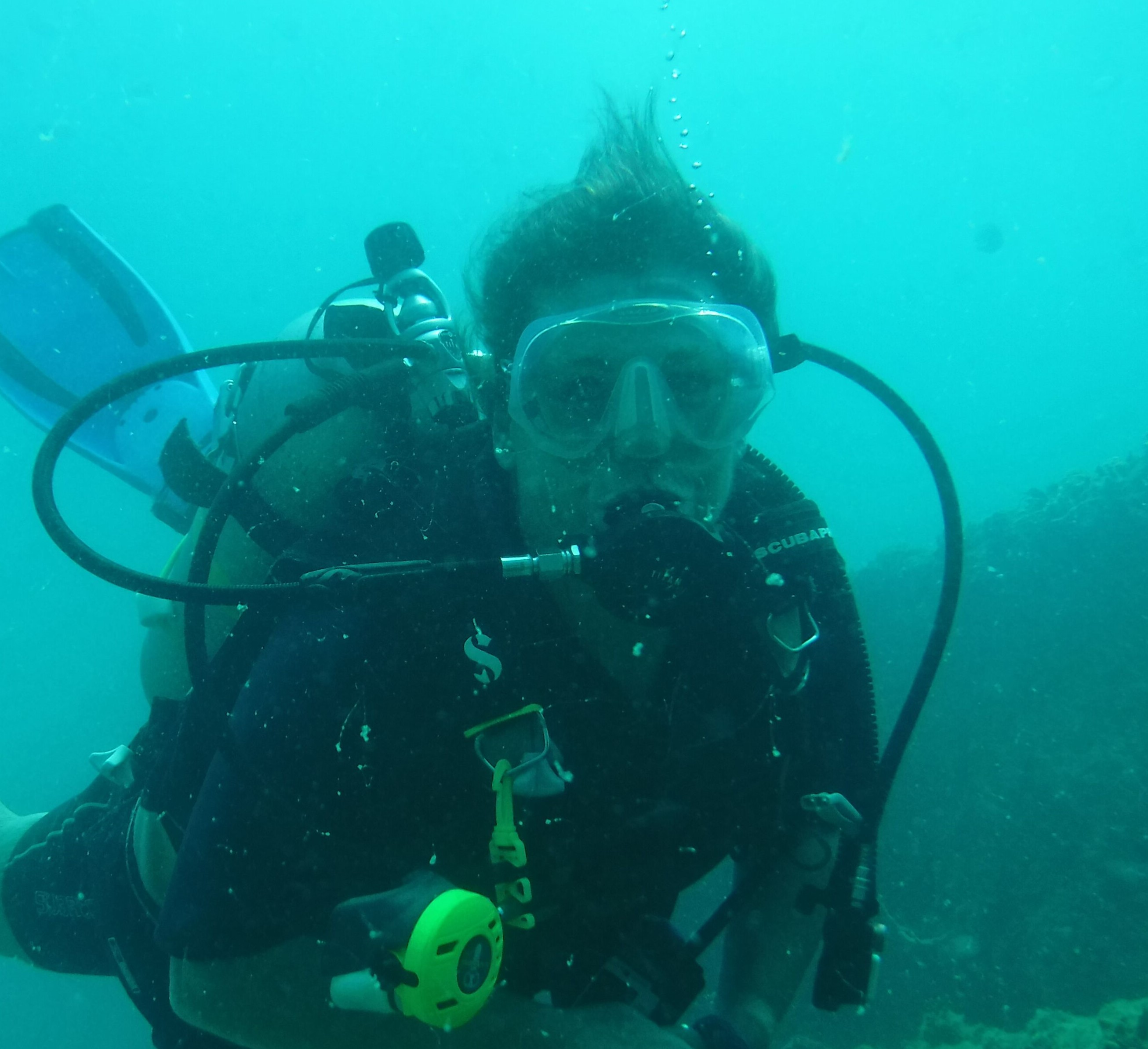 Scuba Diving Guide To The Caribbean Dive Tips And All Things Scuba